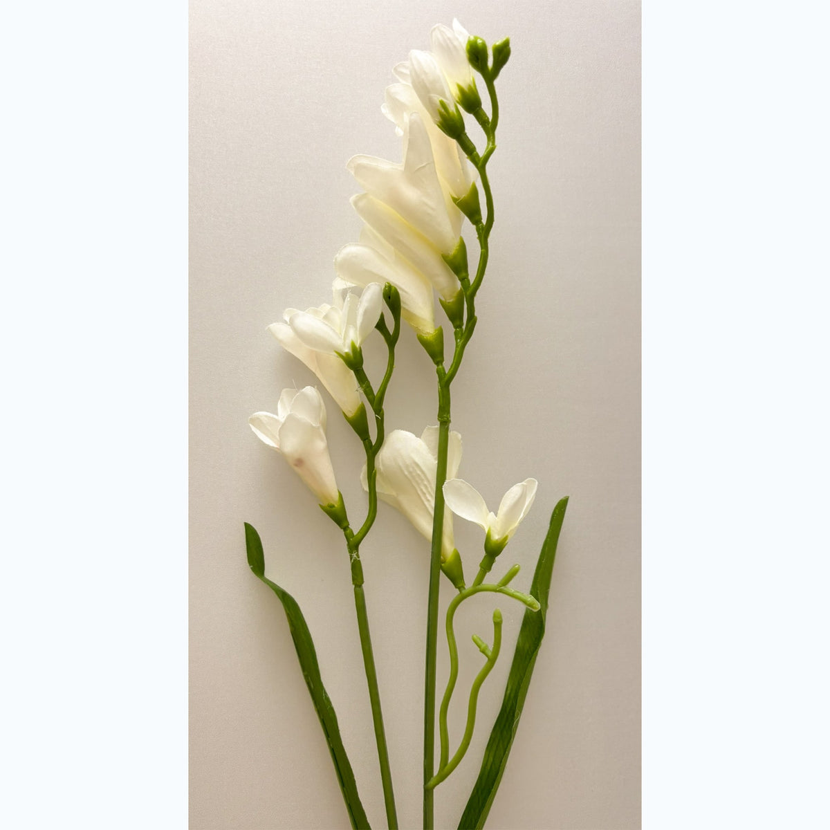 Freesia spray cream – Cloth & Clay